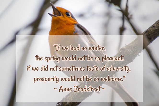 Opening Our Eyes to the Beauty and Value of Winter When Our Hearts Feel ...